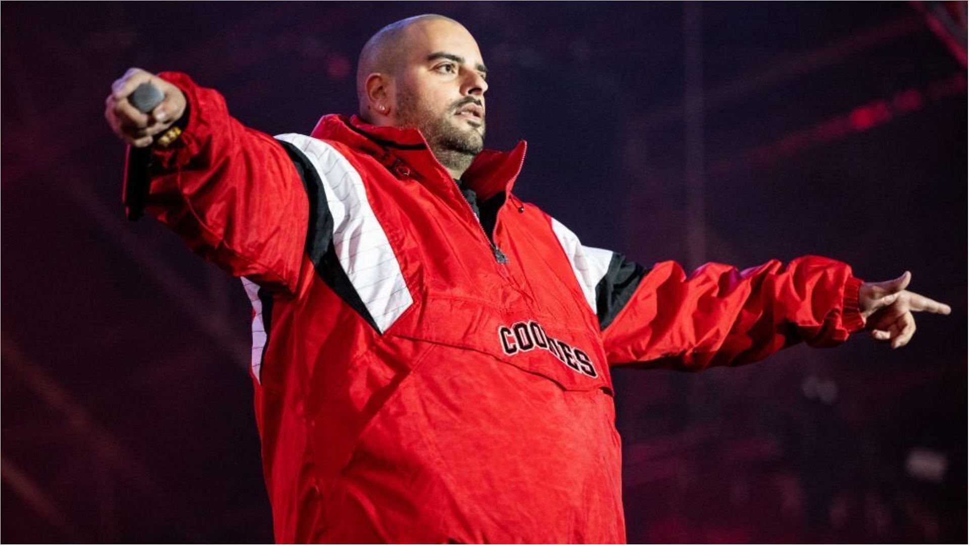 Berner Net Worth 2024 | Income, Career & Bio
