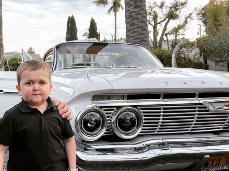 Hasbulla Net Worth 2024 - Age, Height, Car Collections & More