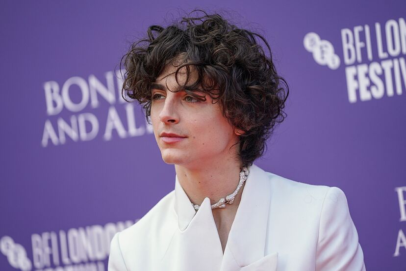 Unveiling Timothée Chalamet: Height, Age, Ethnicity Revealed
