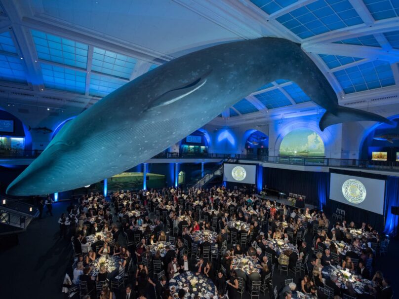 How to Keep Guests Engaged at Big Corporate Events ─ Top Ideas for 2024